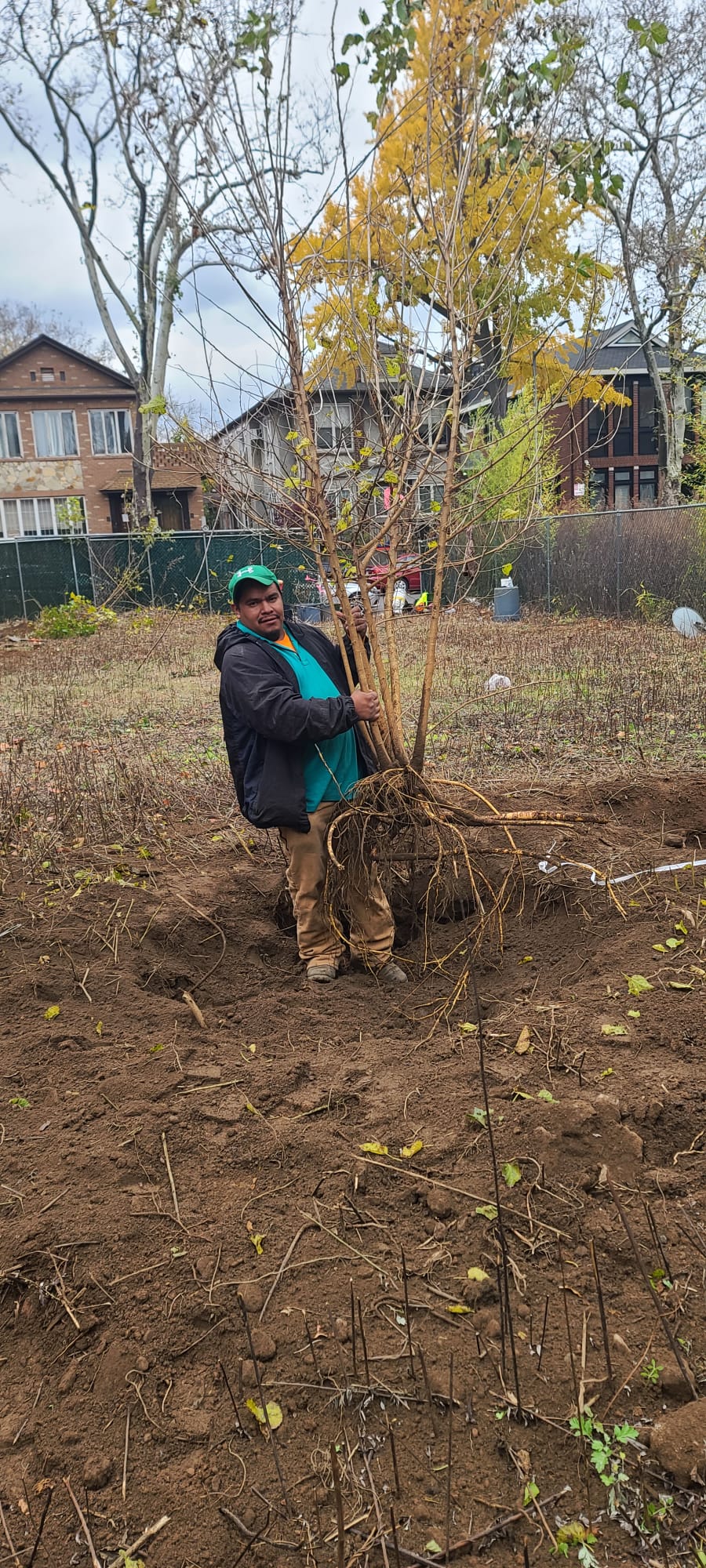 Our Portfolio – J&J Tree Management Corp.