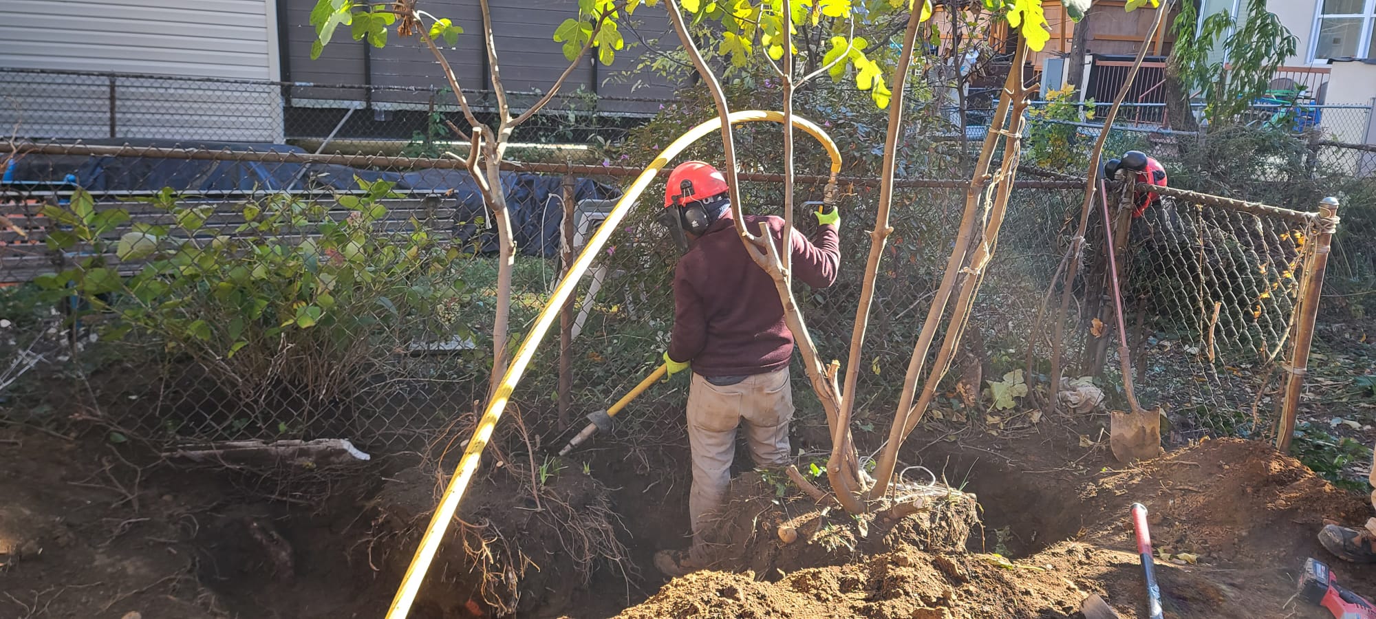 Our Portfolio – J&J Tree Management Corp.